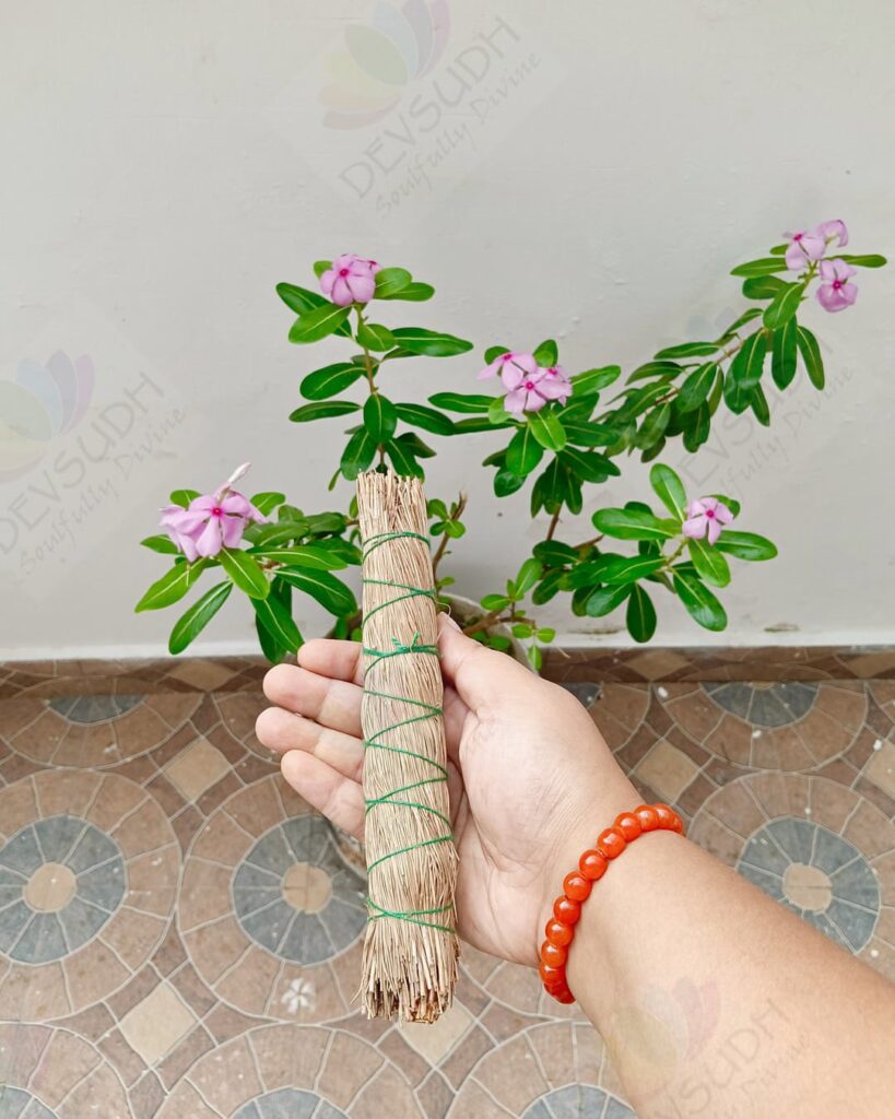 Pine Smudge Stick – DEVSUDH
